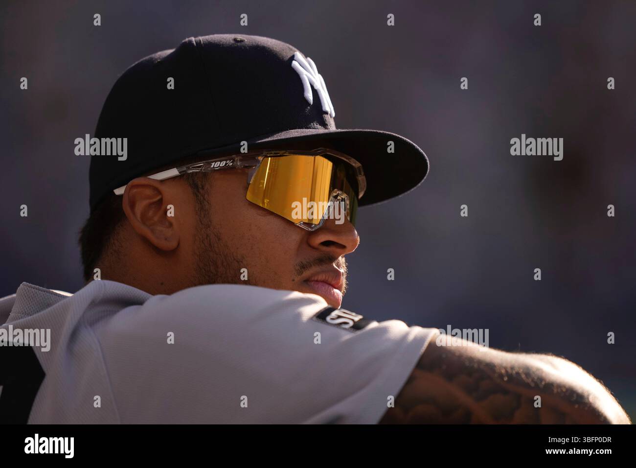 New York Yankees' Jorbit Vivas watches from the dugout during a ...
