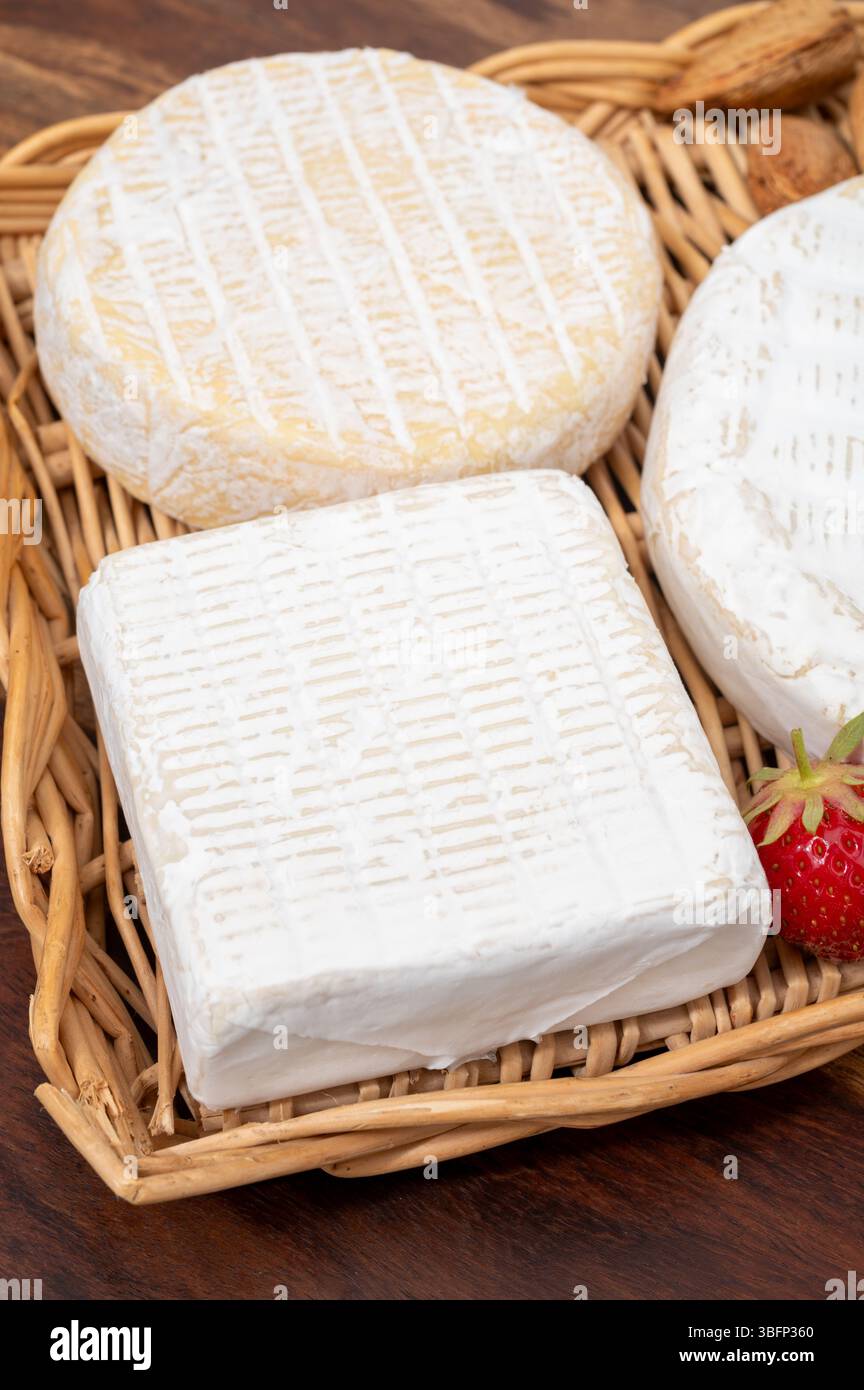 French soft cheeses collection, variety of creamy cow's milk cheeses ...