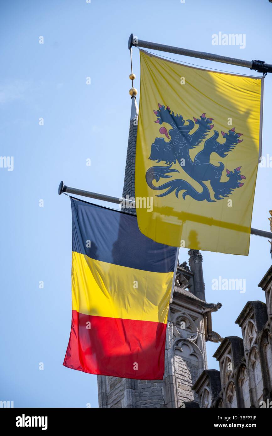 Belgian national flag and yellow flag of Flanders waving on wind in ...