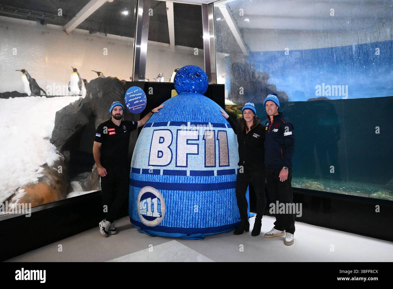 Melbourne, Australia. 03rd June, 2025. (L-R) Steele Sidebottom of ...