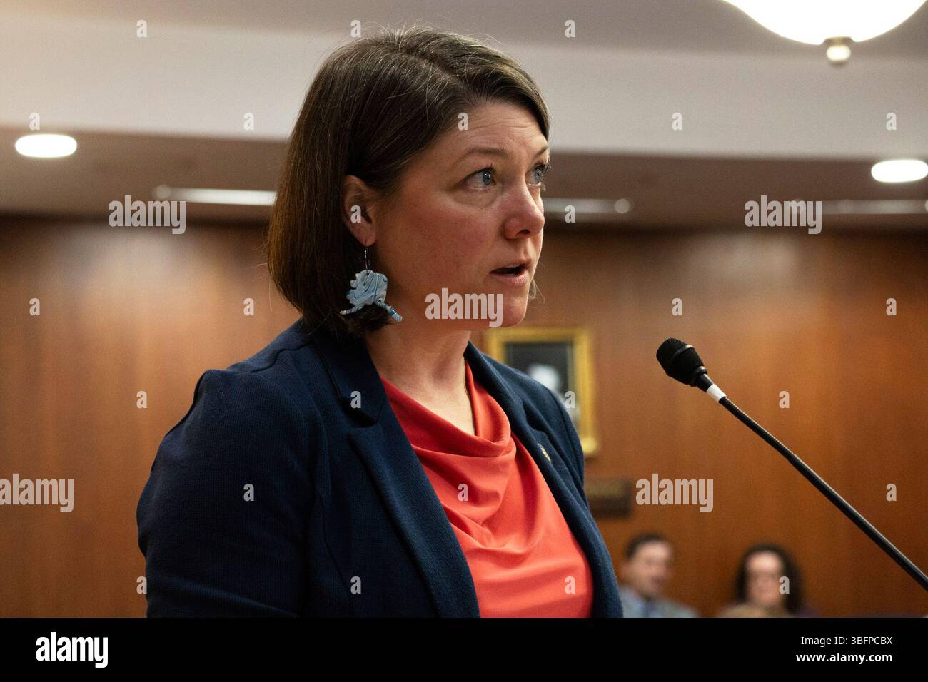 State Rep. Carolyn Hall, D-Anchorage, speaks on the House floor in ...