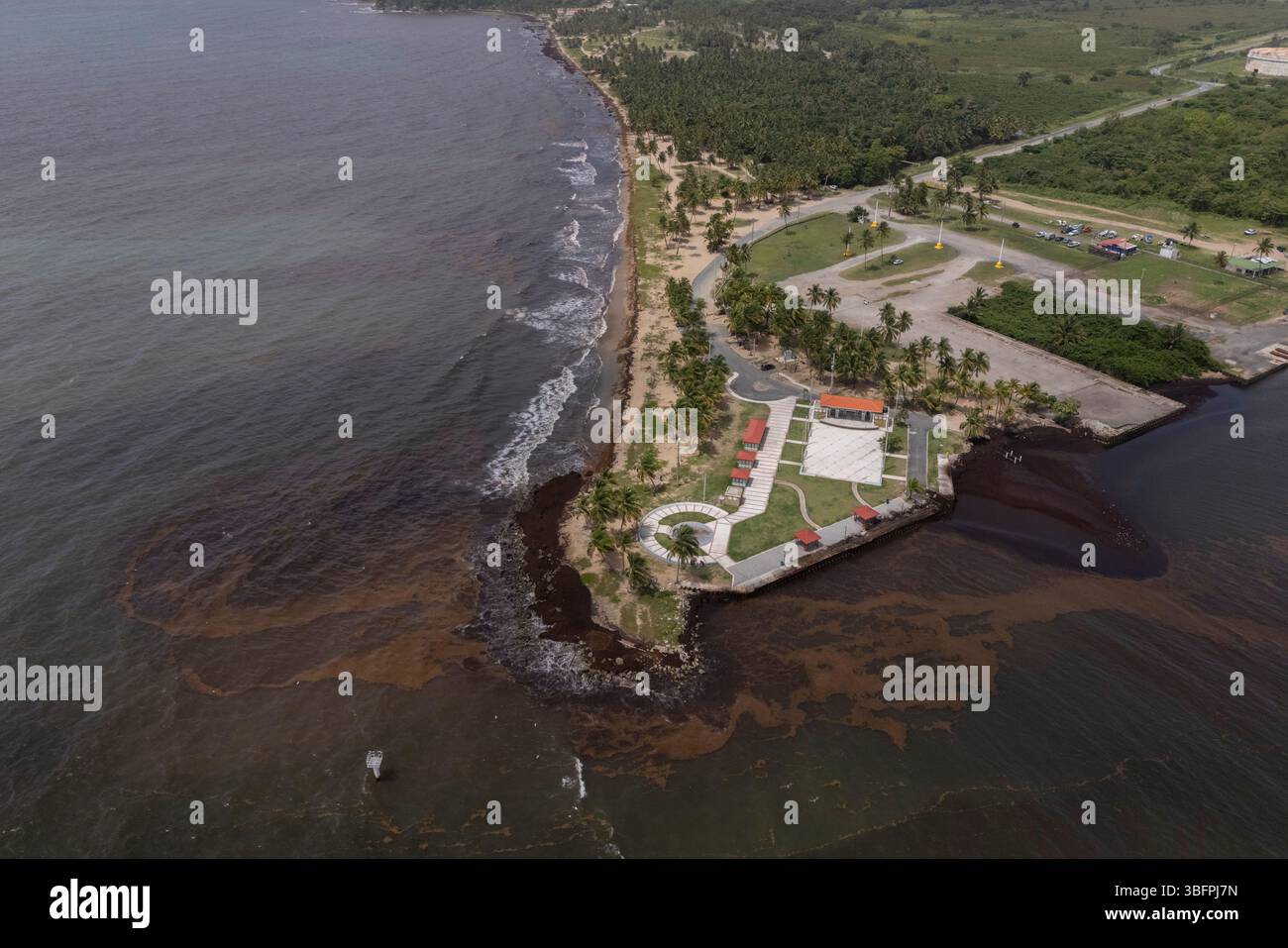 Sargassum gathers in the water off the coast of Playa Lucía, Yabucoa ...