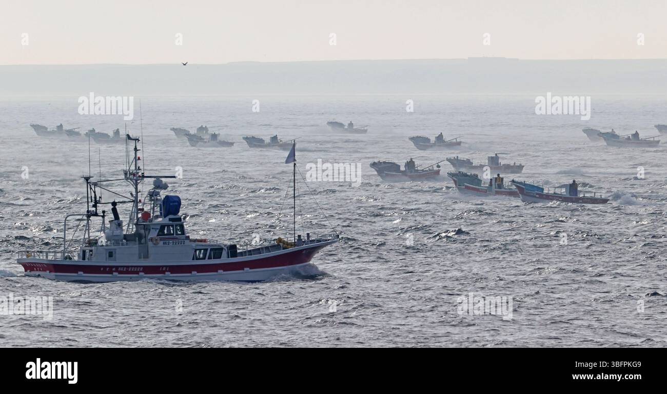 Kelp fishing around Kaigara Island in the Habomai Islands of the ...
