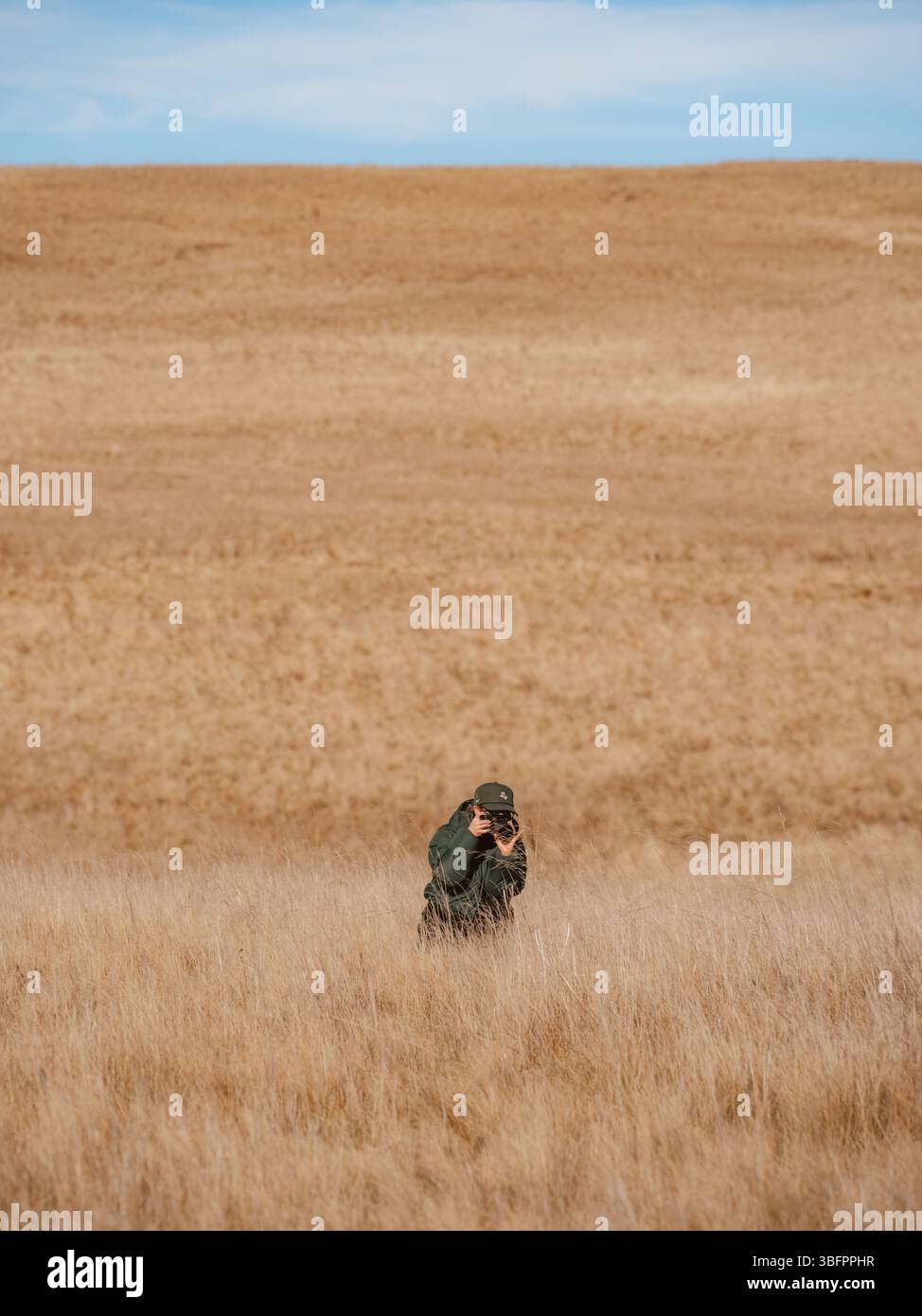 Utes in the paddock hi-res stock photography and images - Alamy
