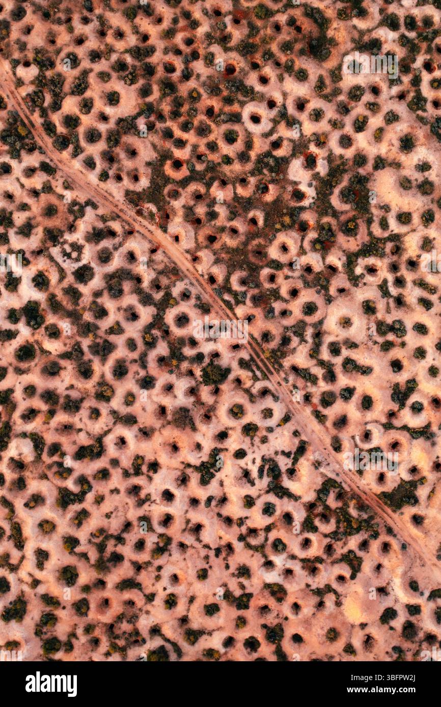 outback desert setting Stock Photo - Alamy