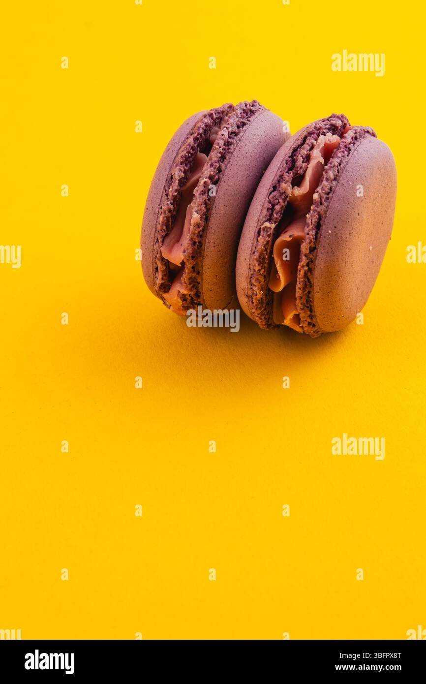 Two rich chocolate macarons sit side by side, showcasing their delicate ...