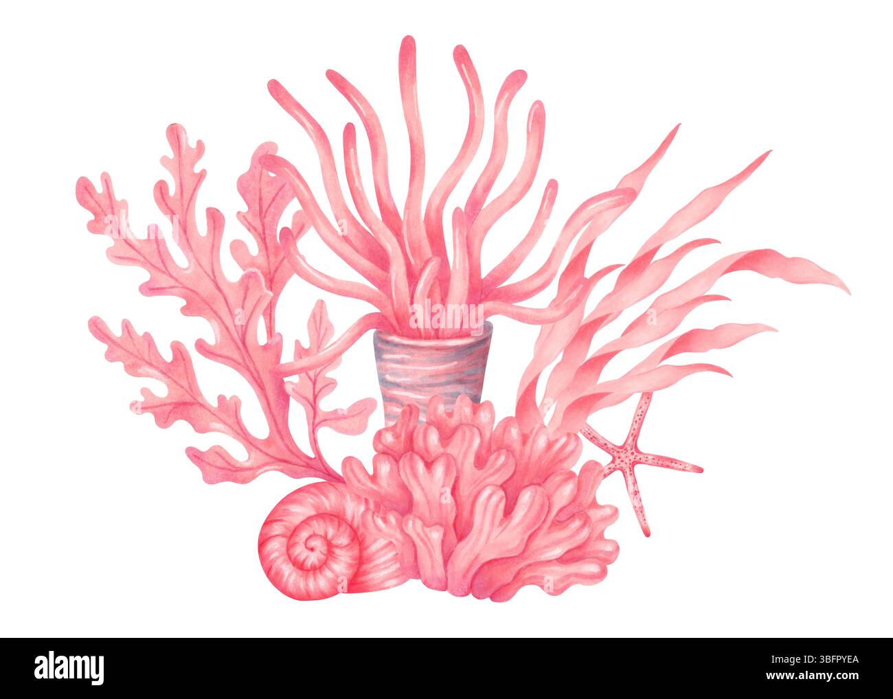 Composition of marine elements corals, seaweed and shells, starfish ...