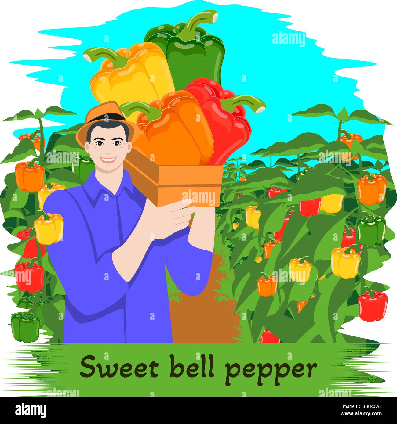 Chilli peppers chili chile Stock Vector Images - Alamy