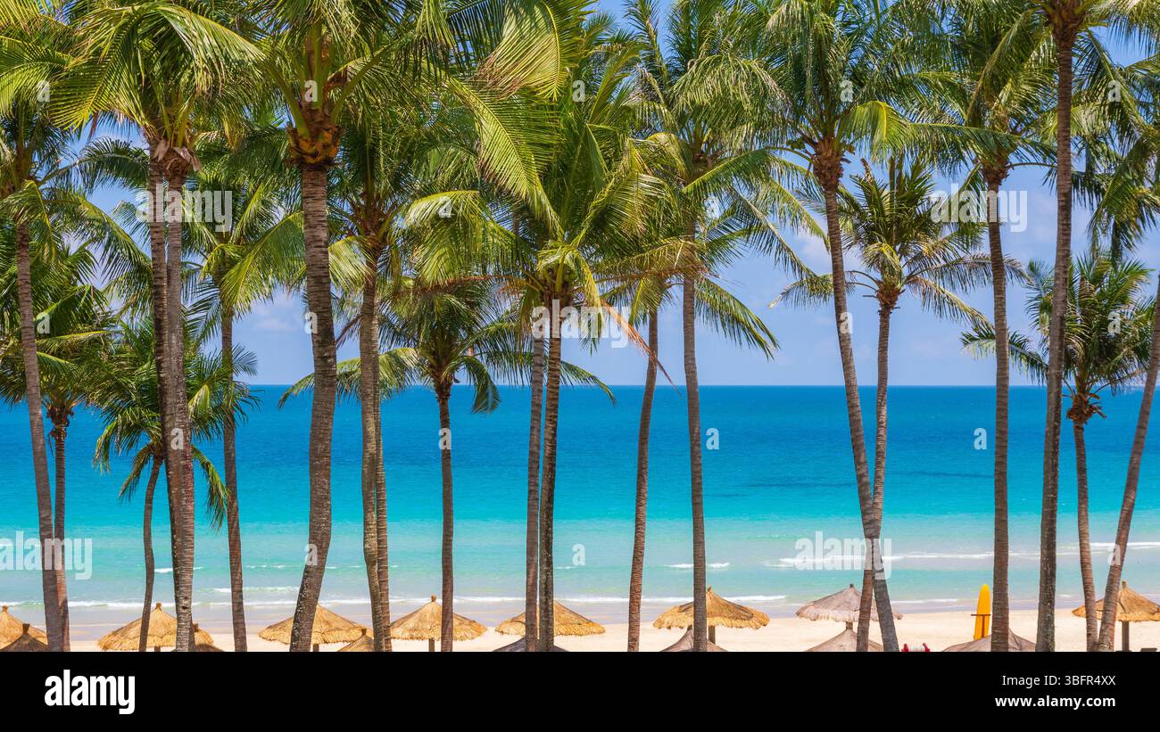 Tropical beach with palm trees at Bintan Island, Indonesia, summer ...