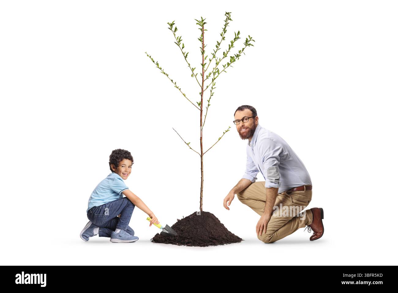 Man and boy planting a tree isolated on white background Stock Photo ...
