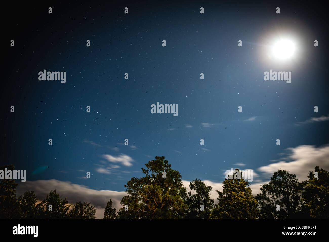 Moonlight Illuminating the Forest Canopy at Night in Brazil Stock Photo ...