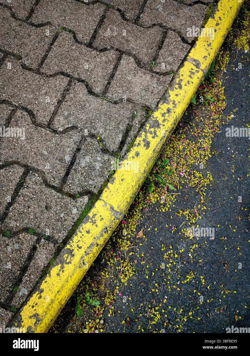 A detailed view of a worn yellow-painted curb next to a cobblestone ...