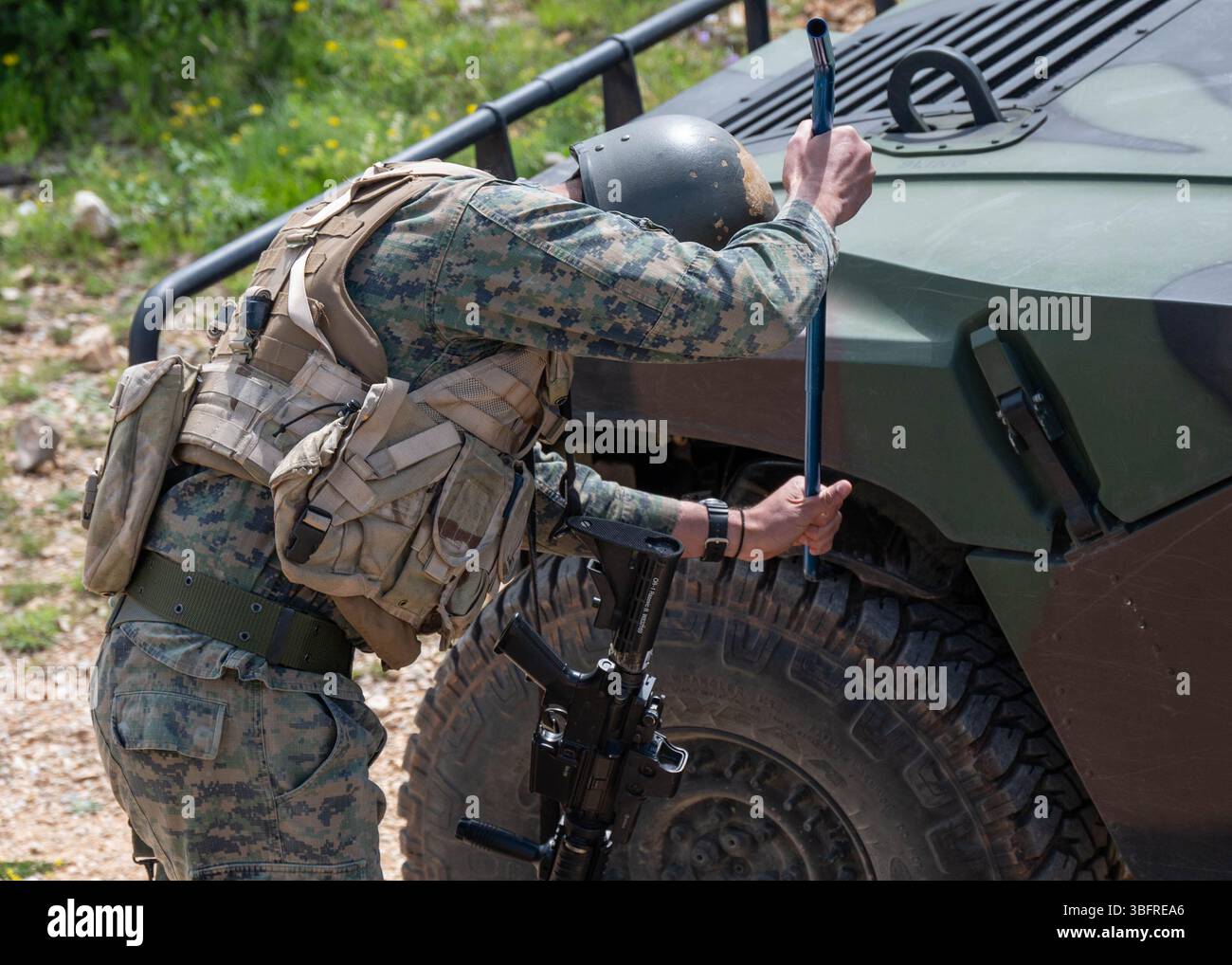 A soldier of the Armed Forces of Bosnia and Herzegovina Light Infantry ...