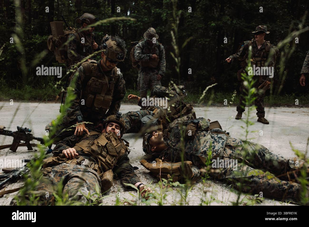 U.S. Marines with 2d Combat Engineer Battalion, 2d Marine Division ...
