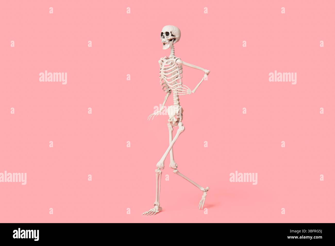 Scary human skeleton running on pink background Stock Photo - Alamy