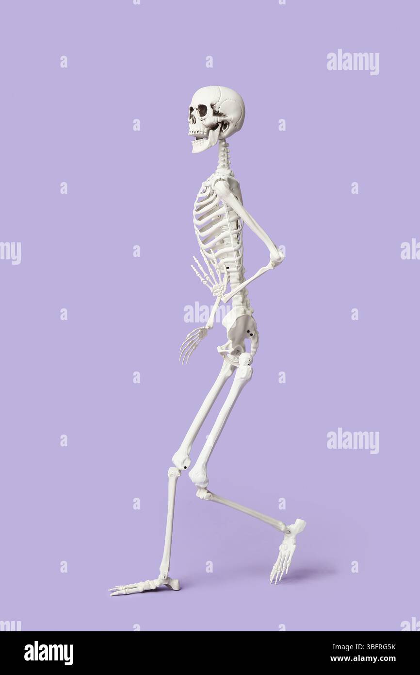 Scary human skeleton walking on lilac background Stock Photo - Alamy