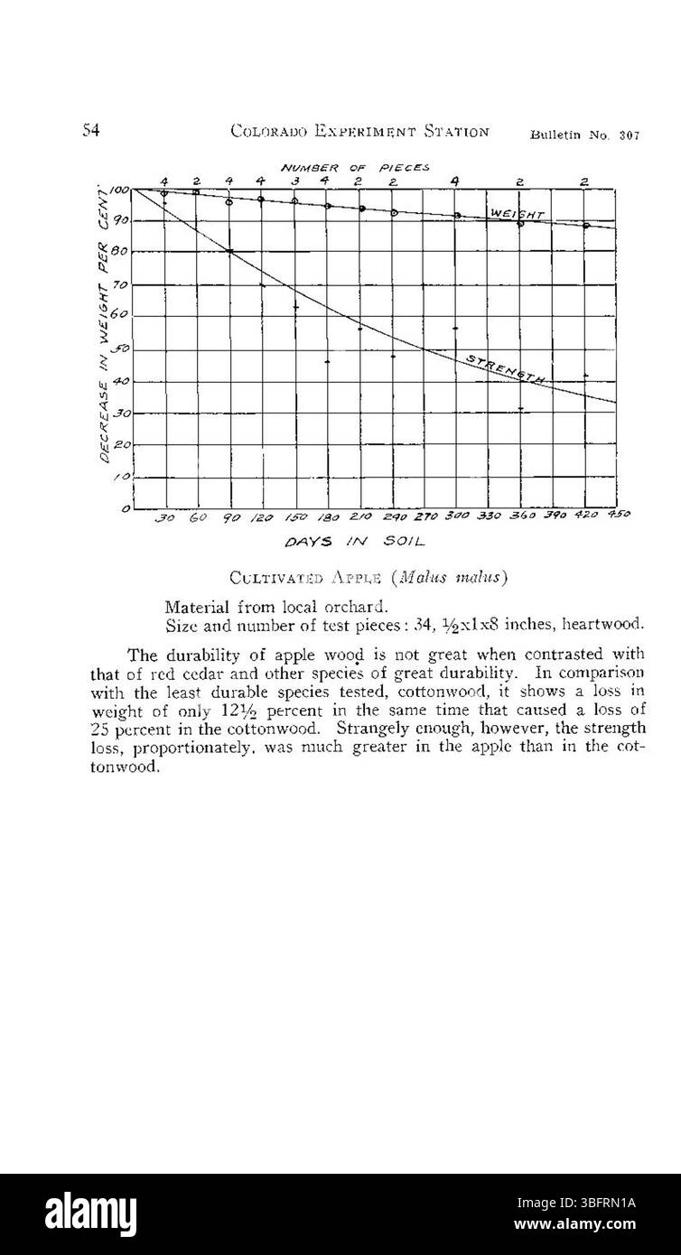 In this section of the 1926 report on wood decay, the author explores ...