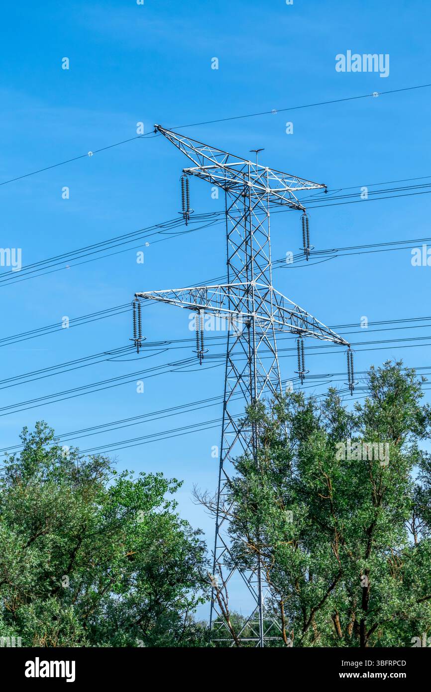 Electricity pylon and nature, real life photo Stock Photo - Alamy