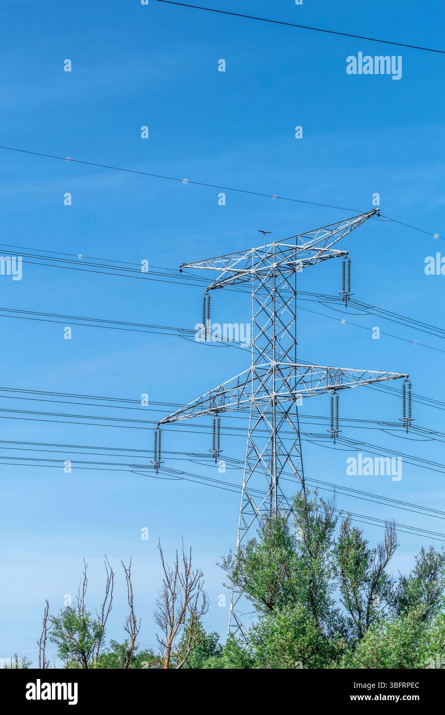 Electricity pylon and nature, real life photo Stock Photo - Alamy