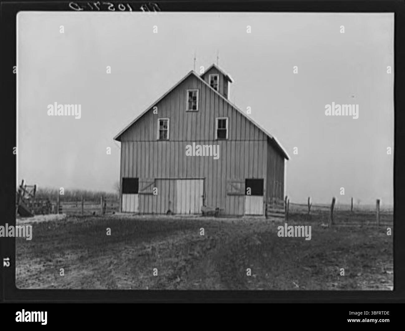 Livestock management in barn Black and White Stock Photos & Images - Alamy