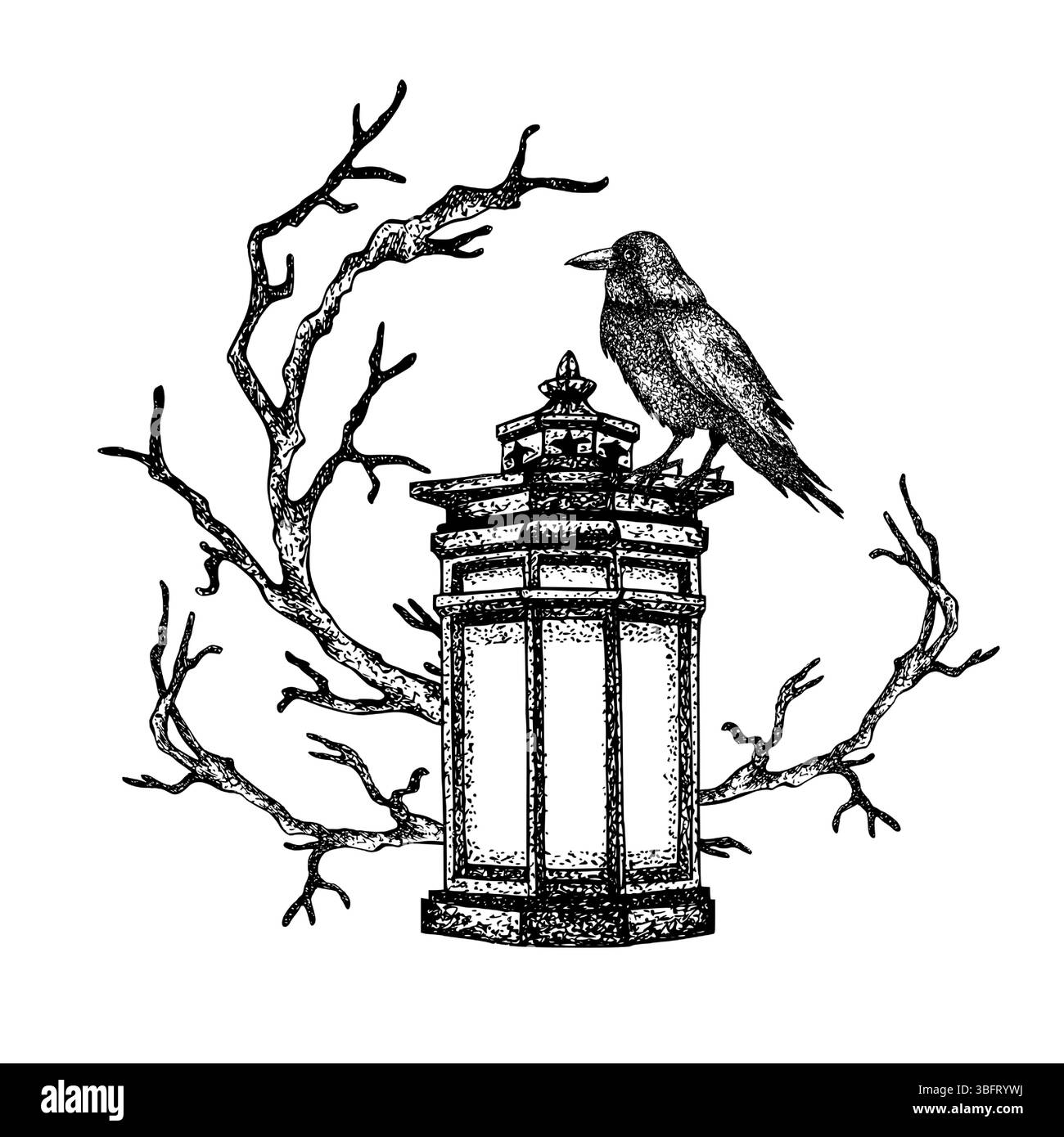 Black crow on vintage lantern with dry branches behind. Graphic vector ...