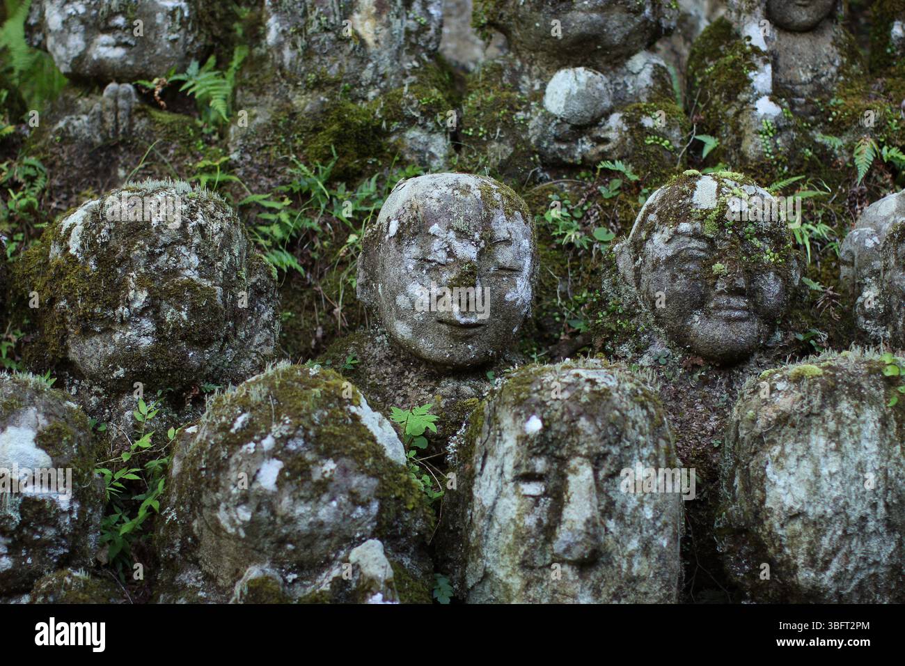 Lots of stone statues in Otagi Nenbutsu-ji Temple in Kyoto, Japan Stock ...