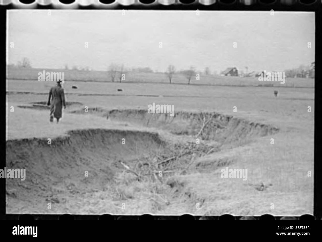 Severe gully erosion affecting a rural landscape, showing exposed soil ...