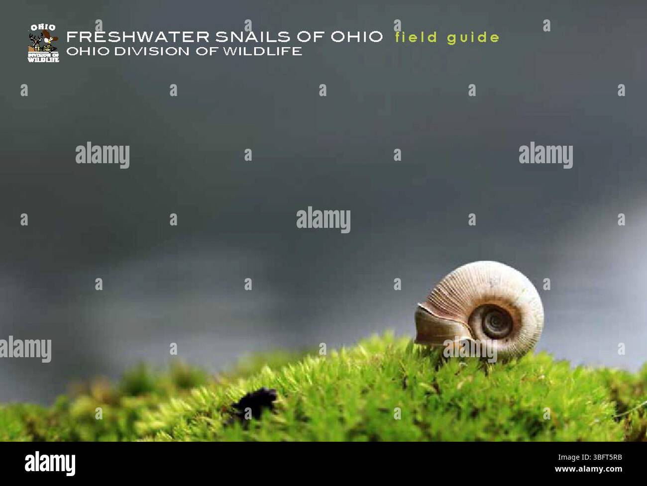 Ecological significance in freshwater habitats hi-res stock photography ...