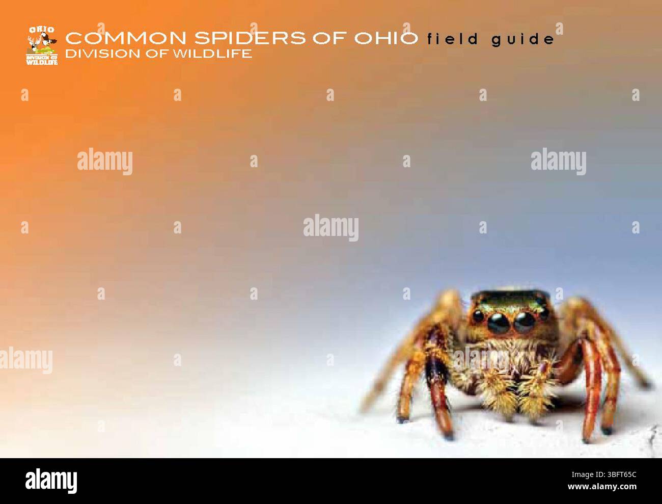 This field guide, published in 2012, provides detailed information ...