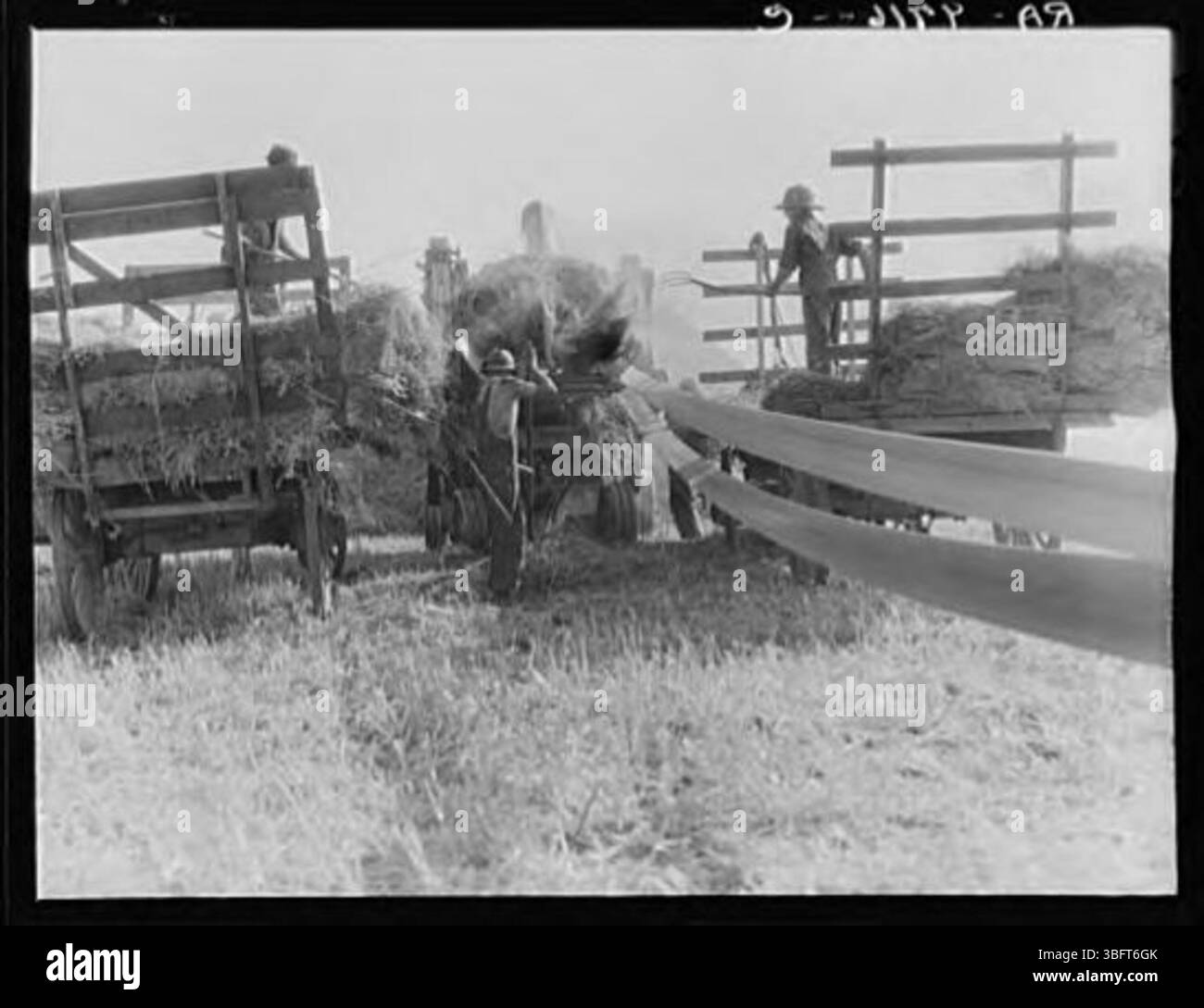 The image depicts the threshing of oats south of Indianapolis. Oats are ...