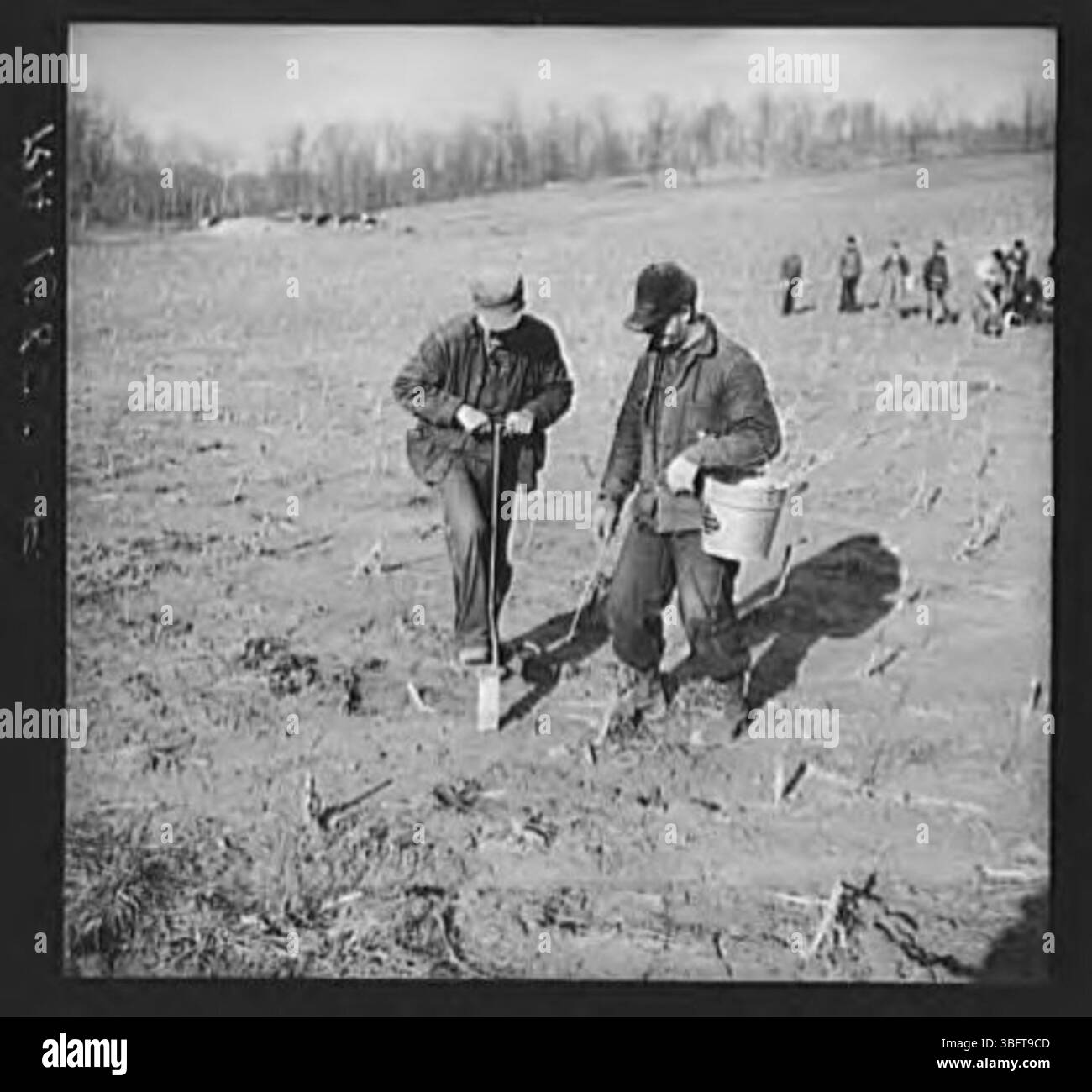 Habitat volunteer Black and White Stock Photos & Images - Alamy