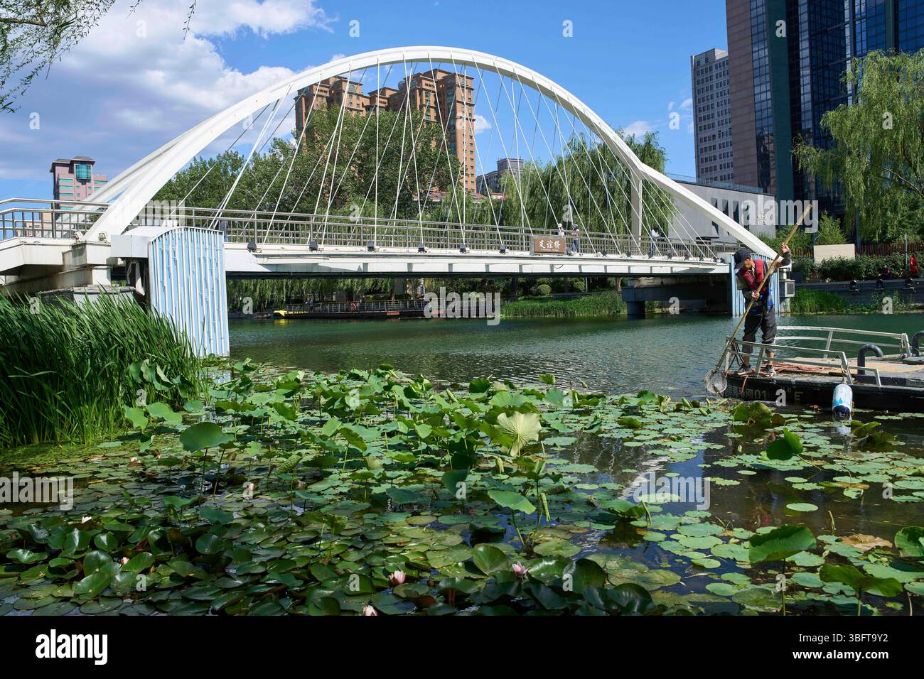 A worker collects rubbish from a river in Beijing, Tuesday, June 3 ...