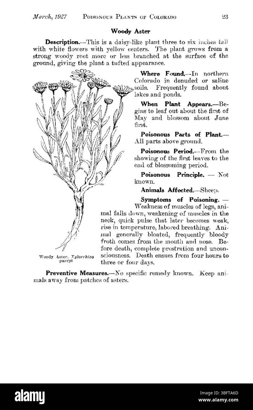 Ecological preferences Black and White Stock Photos & Images - Alamy