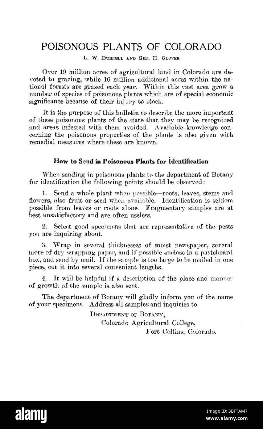 Management explaining Black and White Stock Photos & Images - Alamy