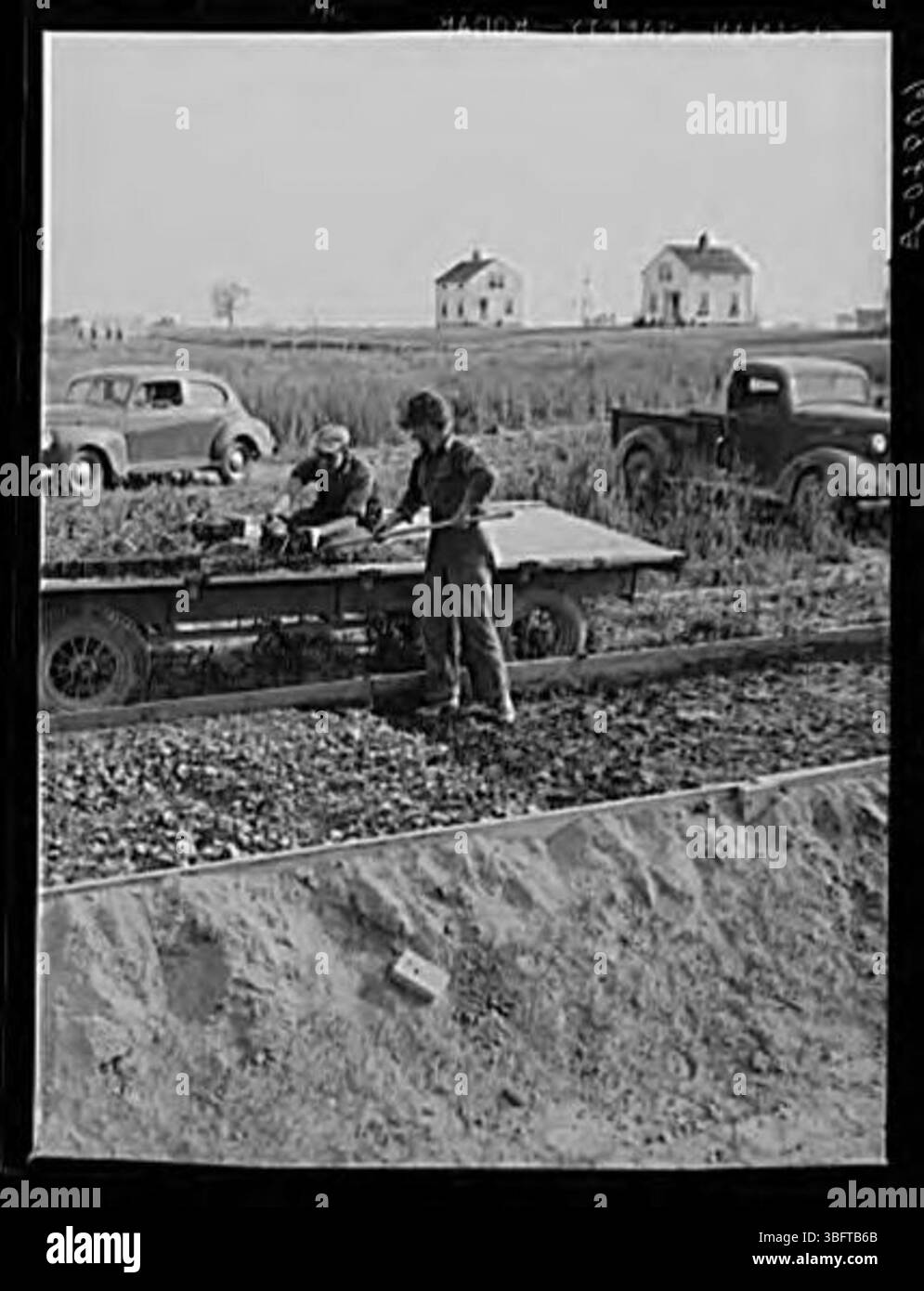 Nursery plant beds Black and White Stock Photos & Images - Alamy