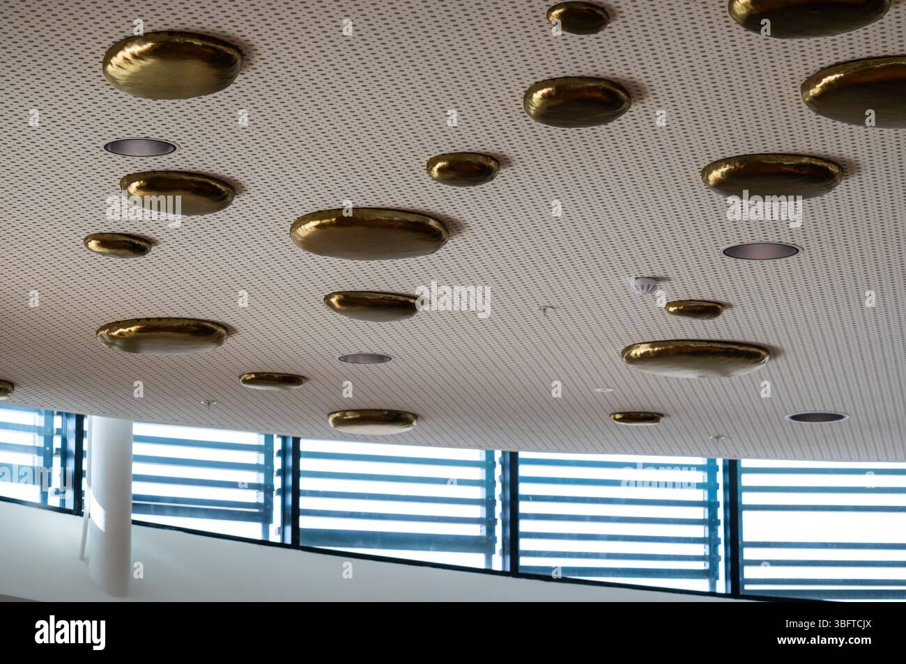 Decorated detail of the ceiling at the conseil Communal, city council ...