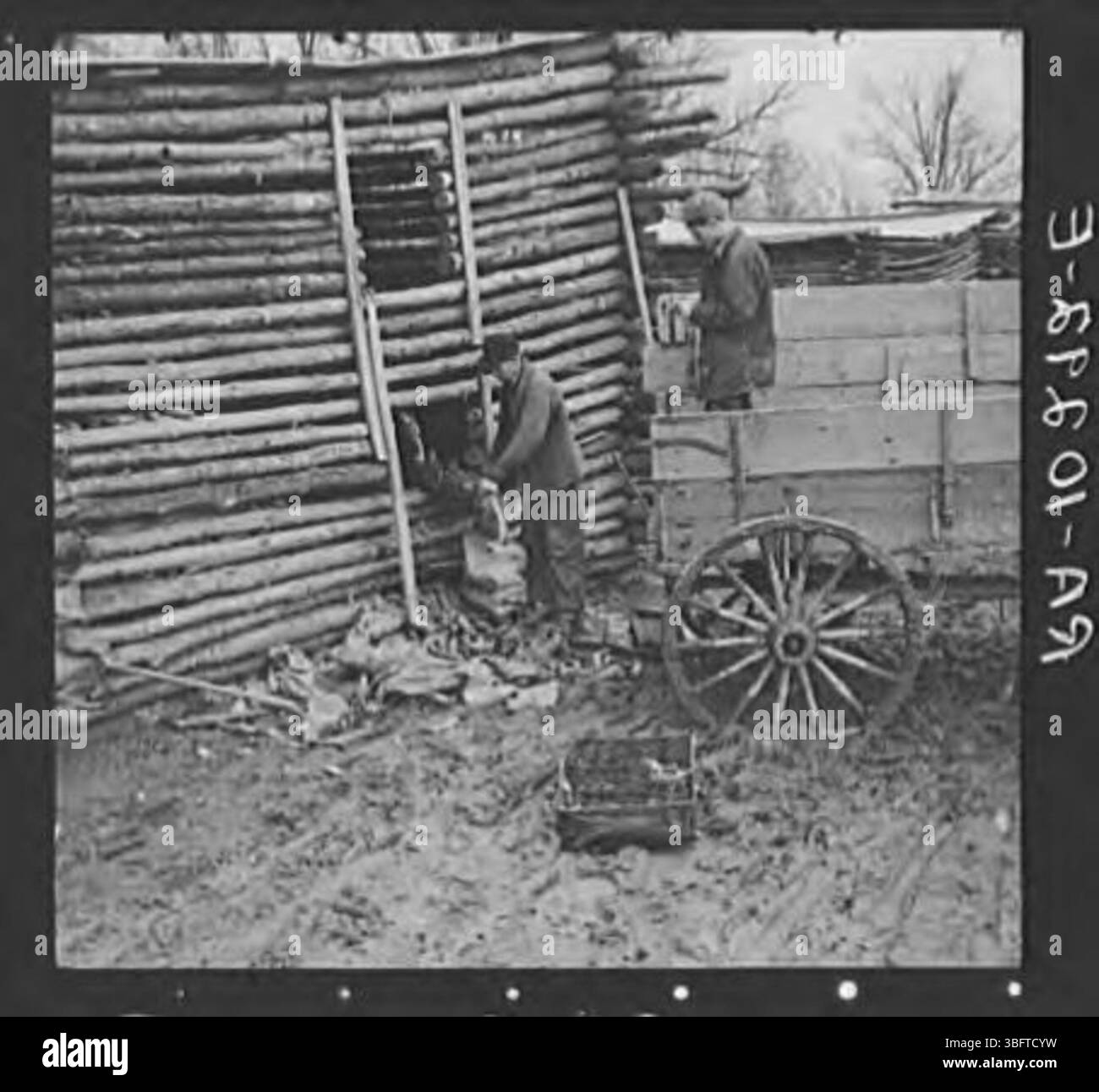 Corn crop damage Black and White Stock Photos & Images - Alamy