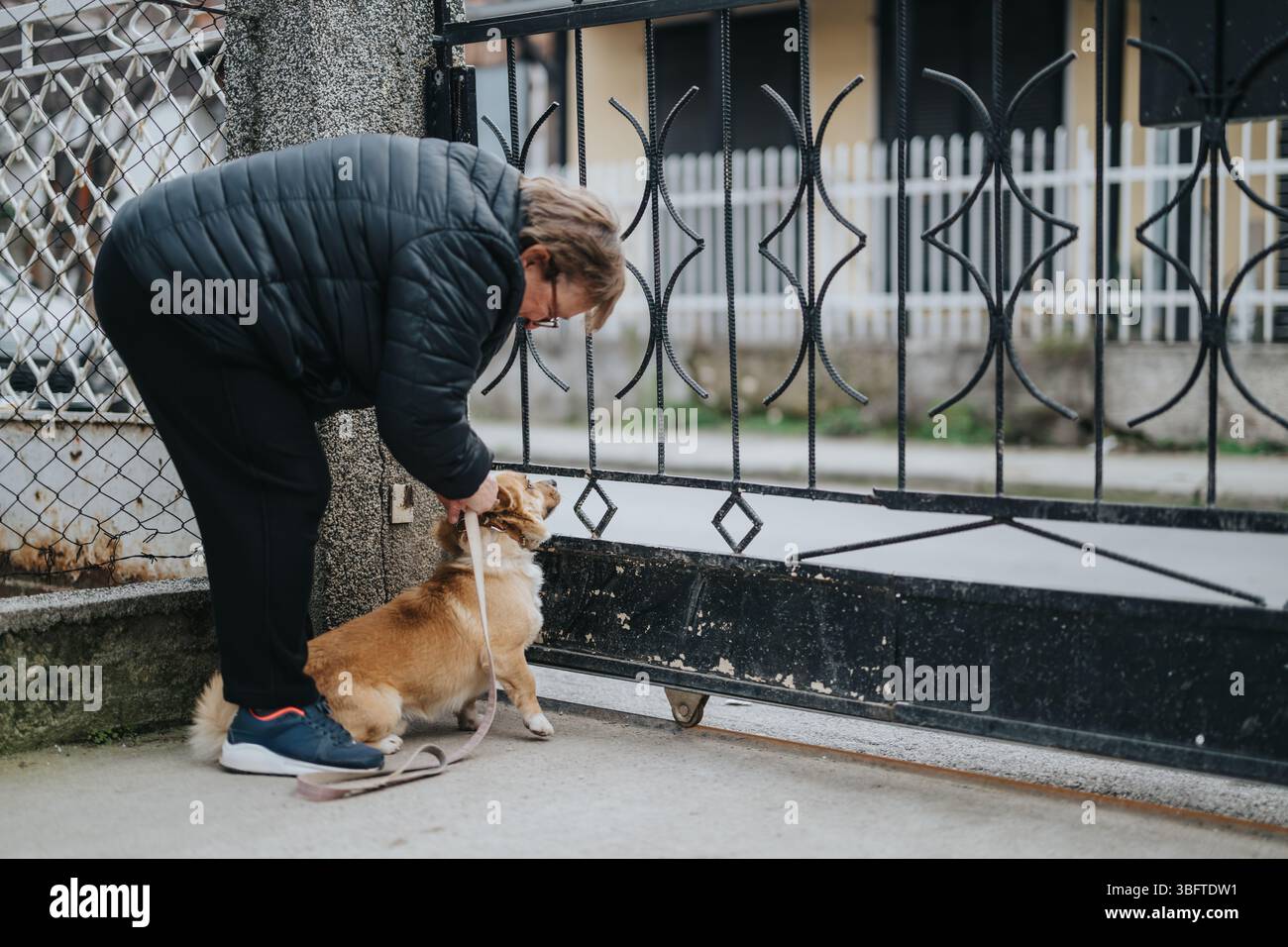 Elderly woman tending to her small brown dog near an iron gate Stock ...