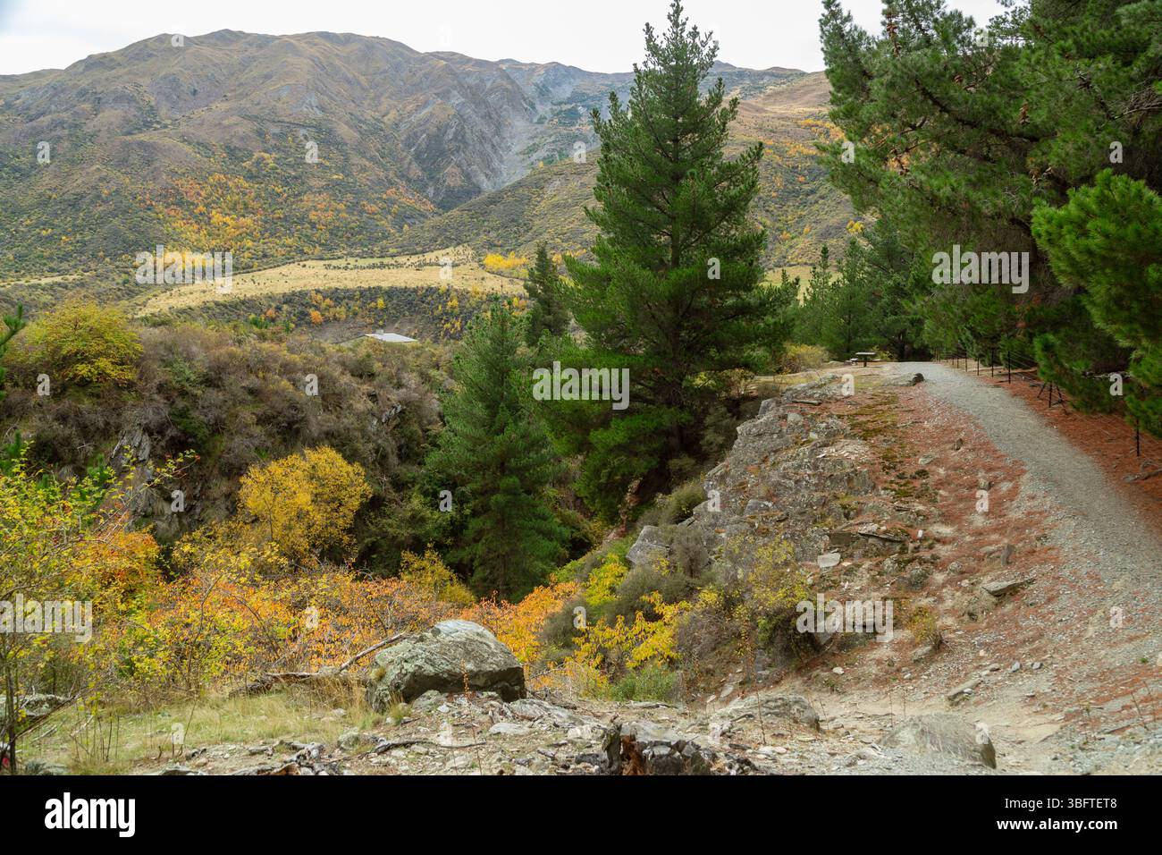 Peregrine loop track hi-res stock photography and images - Alamy