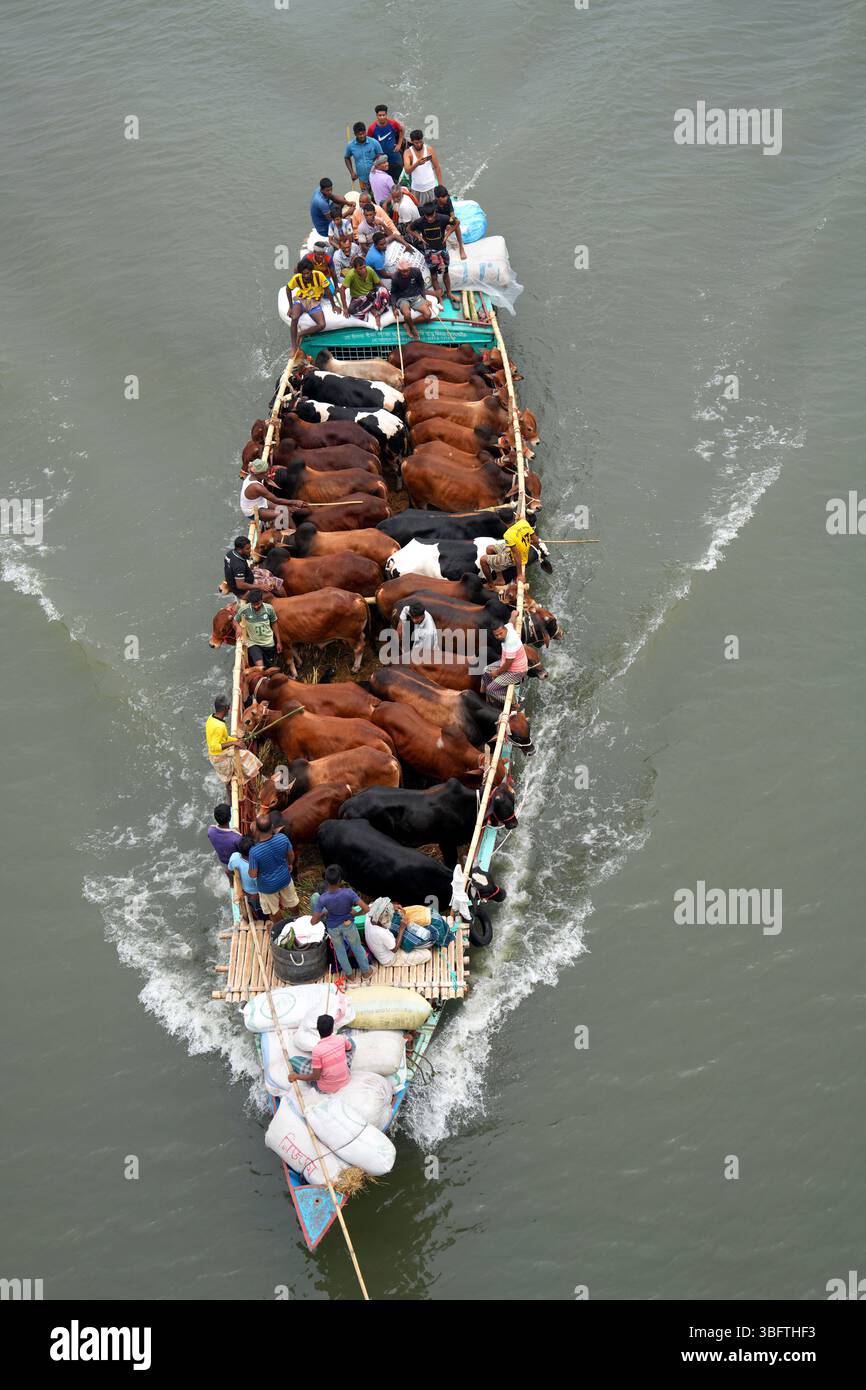 June 3, 2025, Dhaka, Dhaka, Bangladesh: Ahead of the Muslim religious festival Eid-ul-Adha ...