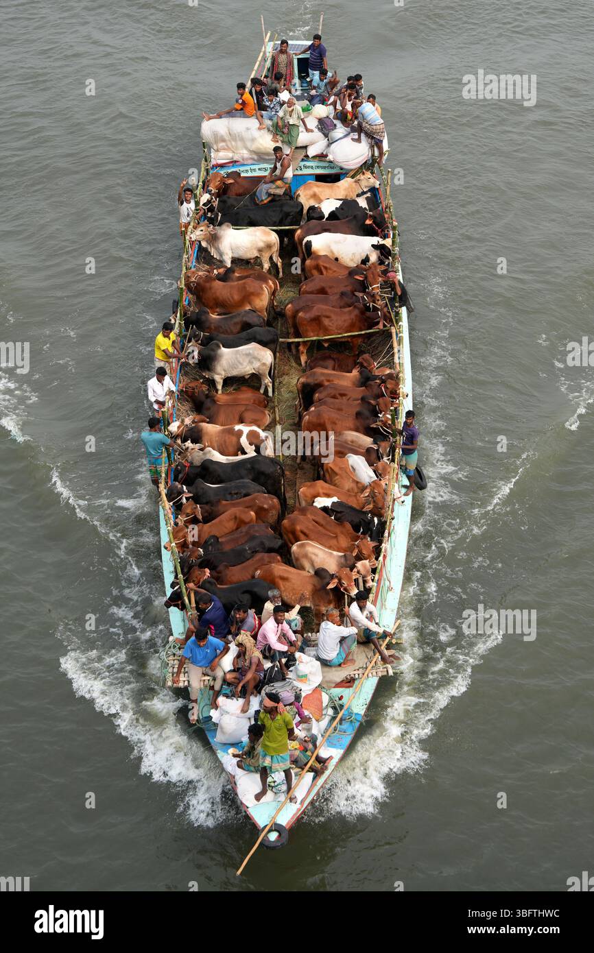 June 3, 2025, Dhaka, Dhaka, Bangladesh: Ahead of the Muslim religious festival Eid-ul-Adha ...