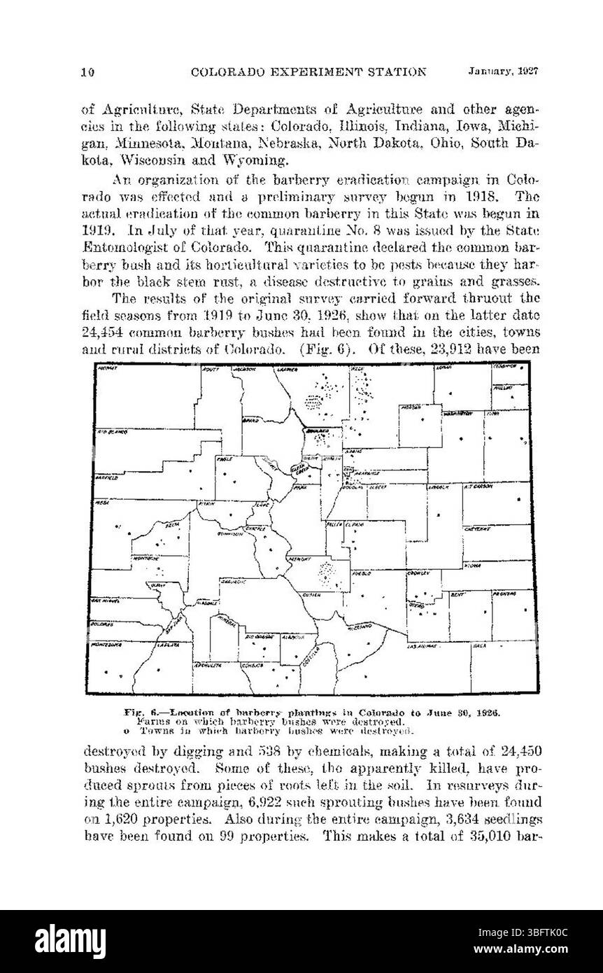 This section discusses the ongoing eradication of barberry plants in ...