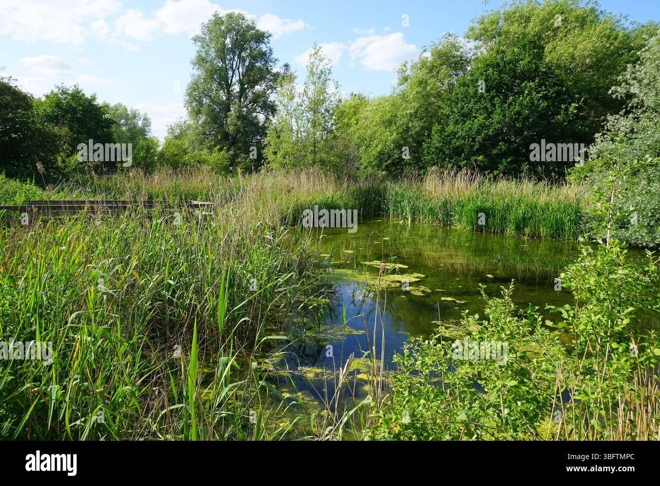 Purwell nine springs hi-res stock photography and images - Alamy