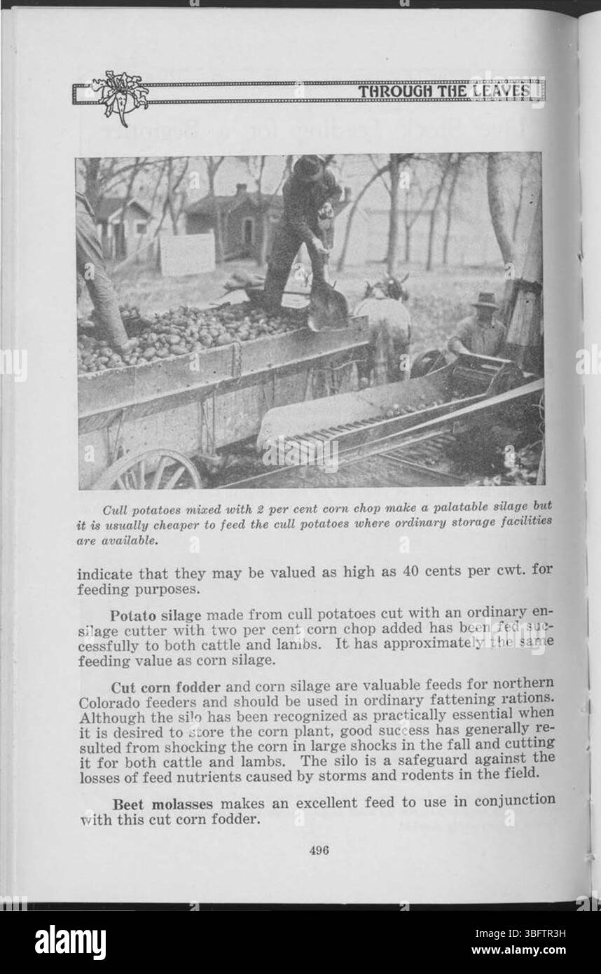 Page 493 of *Through the Leaves* (1927) offers further content on key ...