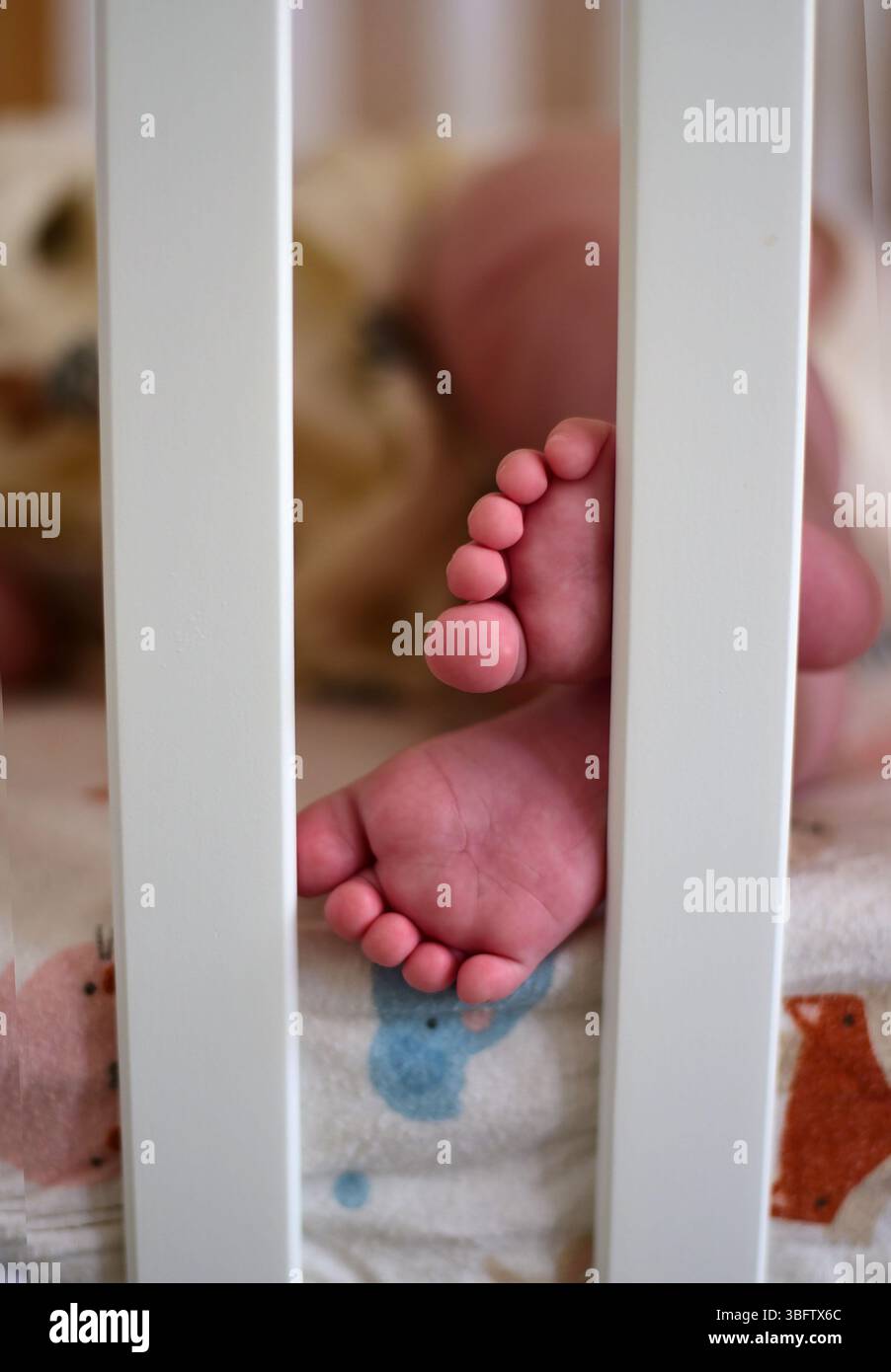 Baby feet sticking out through crib bars. Close-up of infant legs in a ...