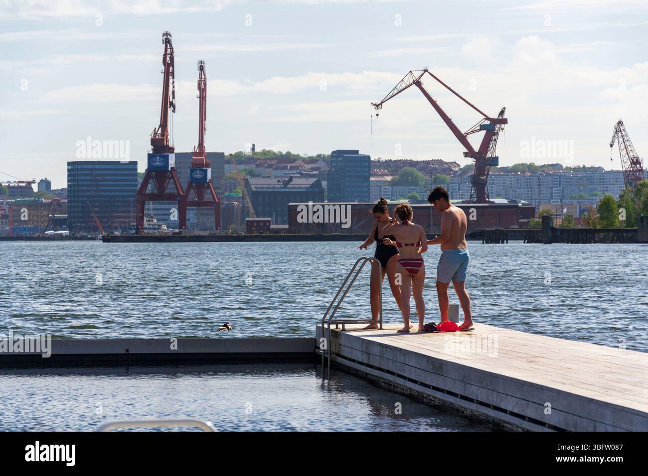 People on floating swimming pools with sauna at Allmanna harbour bath ...