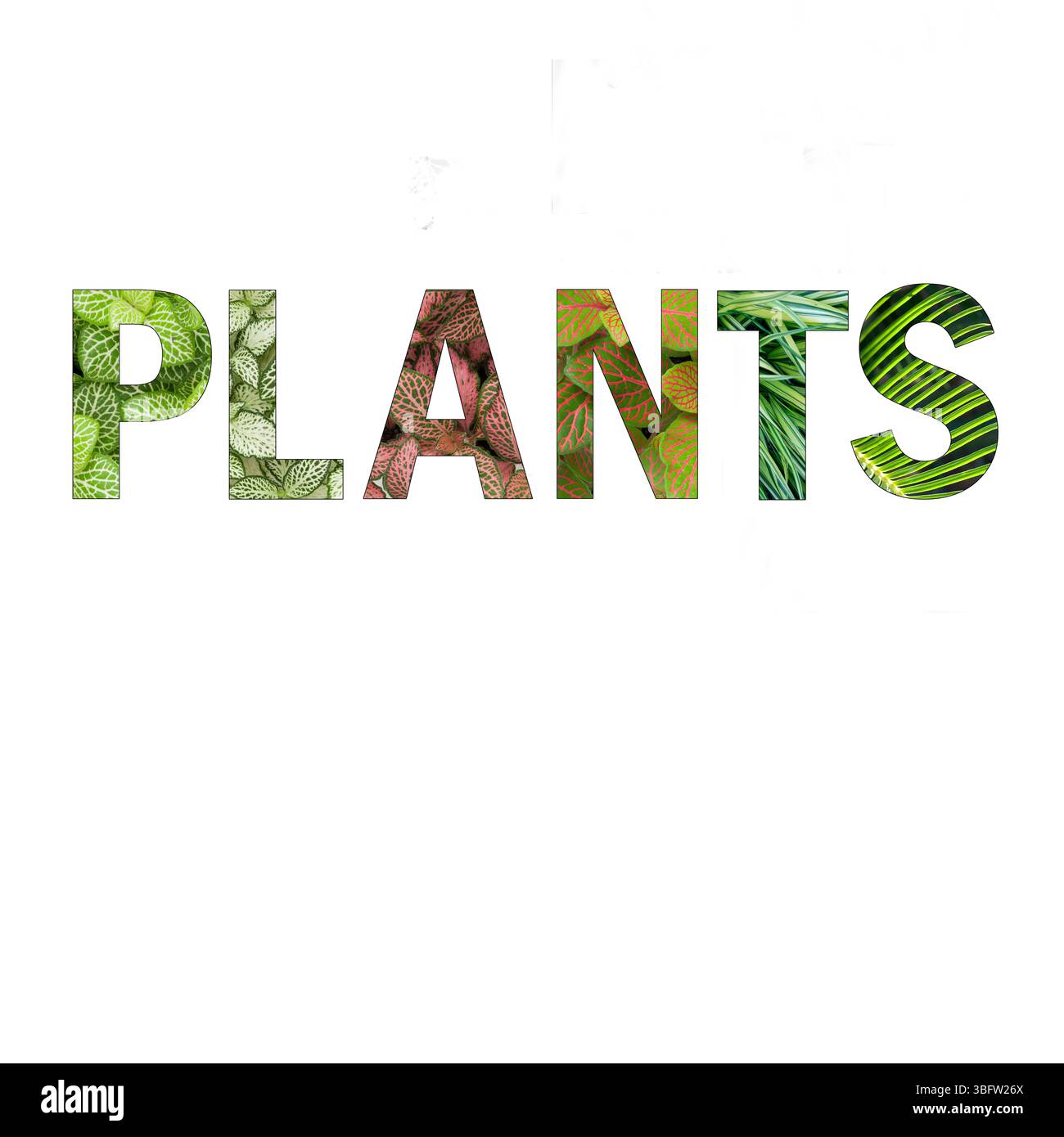 Plant letters hi-res stock photography and images - Alamy