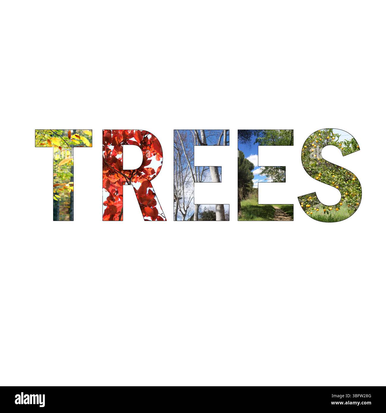 Title letters Cut Out Stock Images & Pictures - Alamy