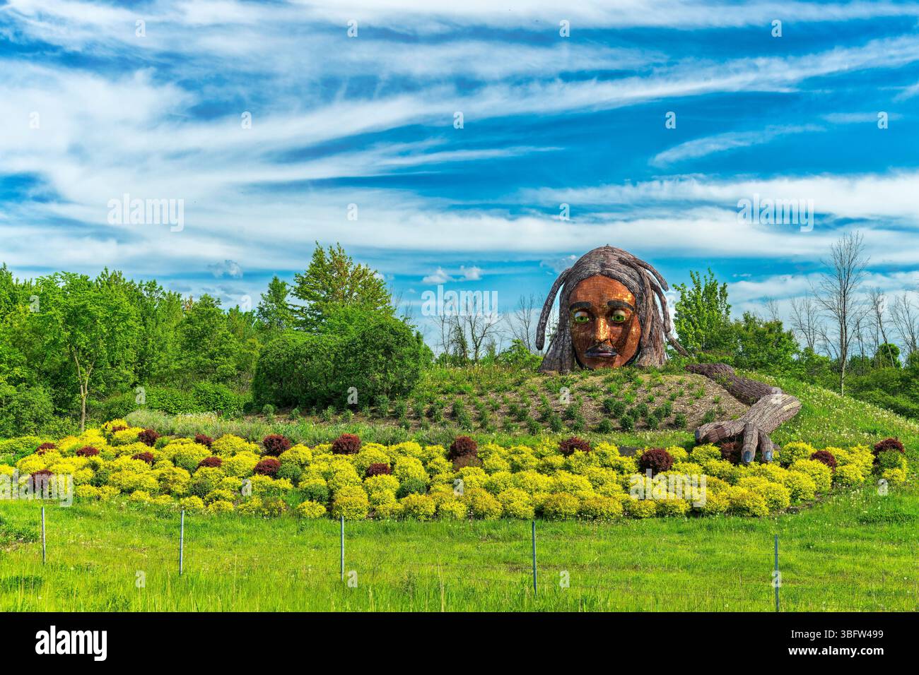Topiary display various hi-res stock photography and images - Alamy