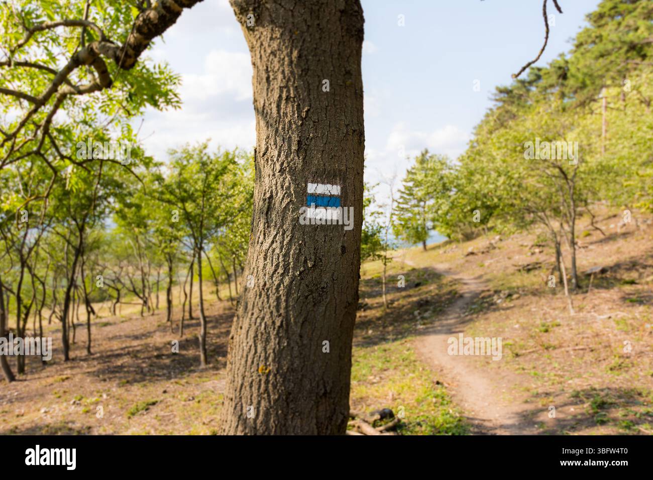 Tourist mark on the tree, near path in national park Stock Photo - Alamy